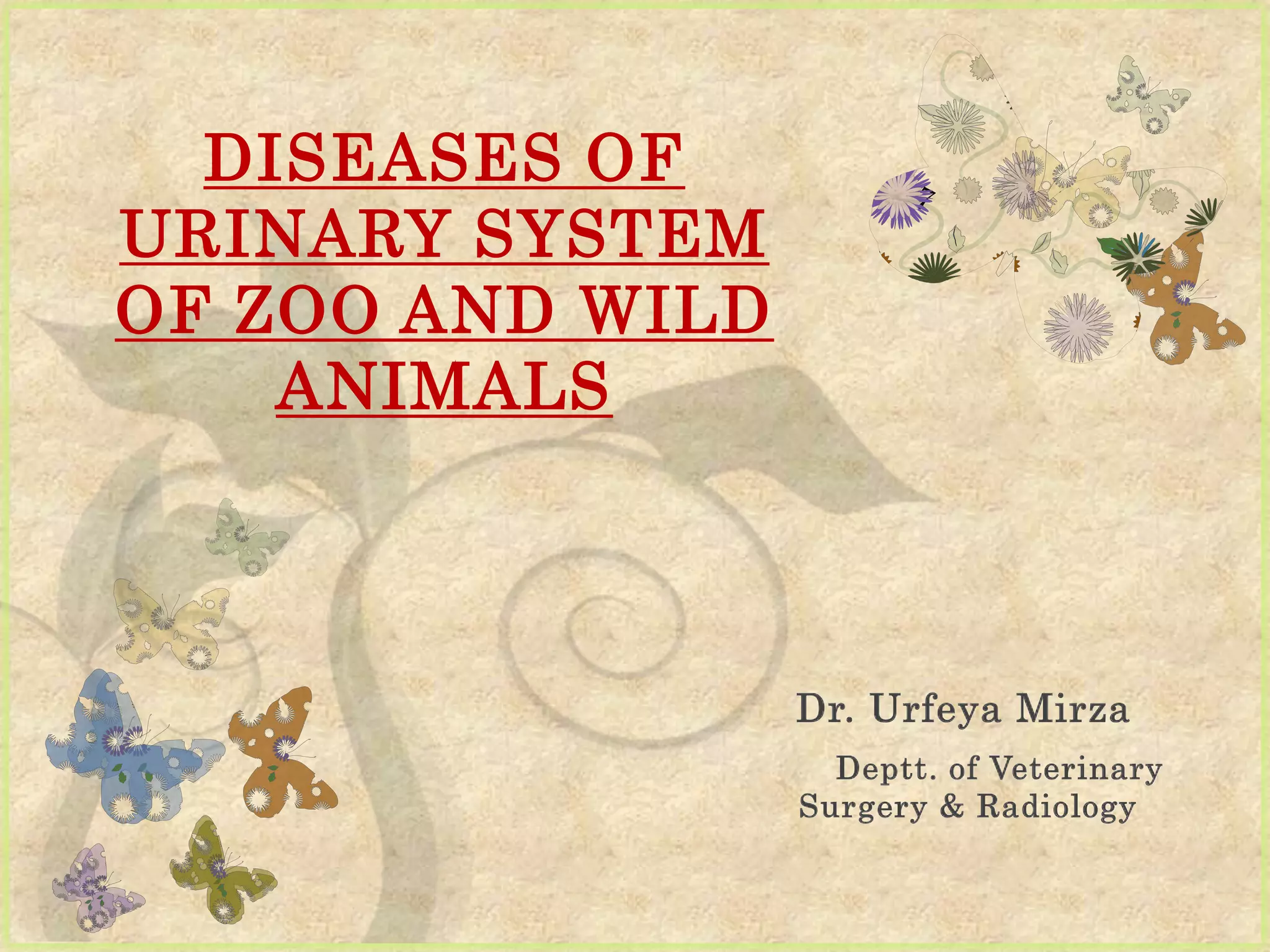 Diseases of urinary system of zoo and wild animals | PPT