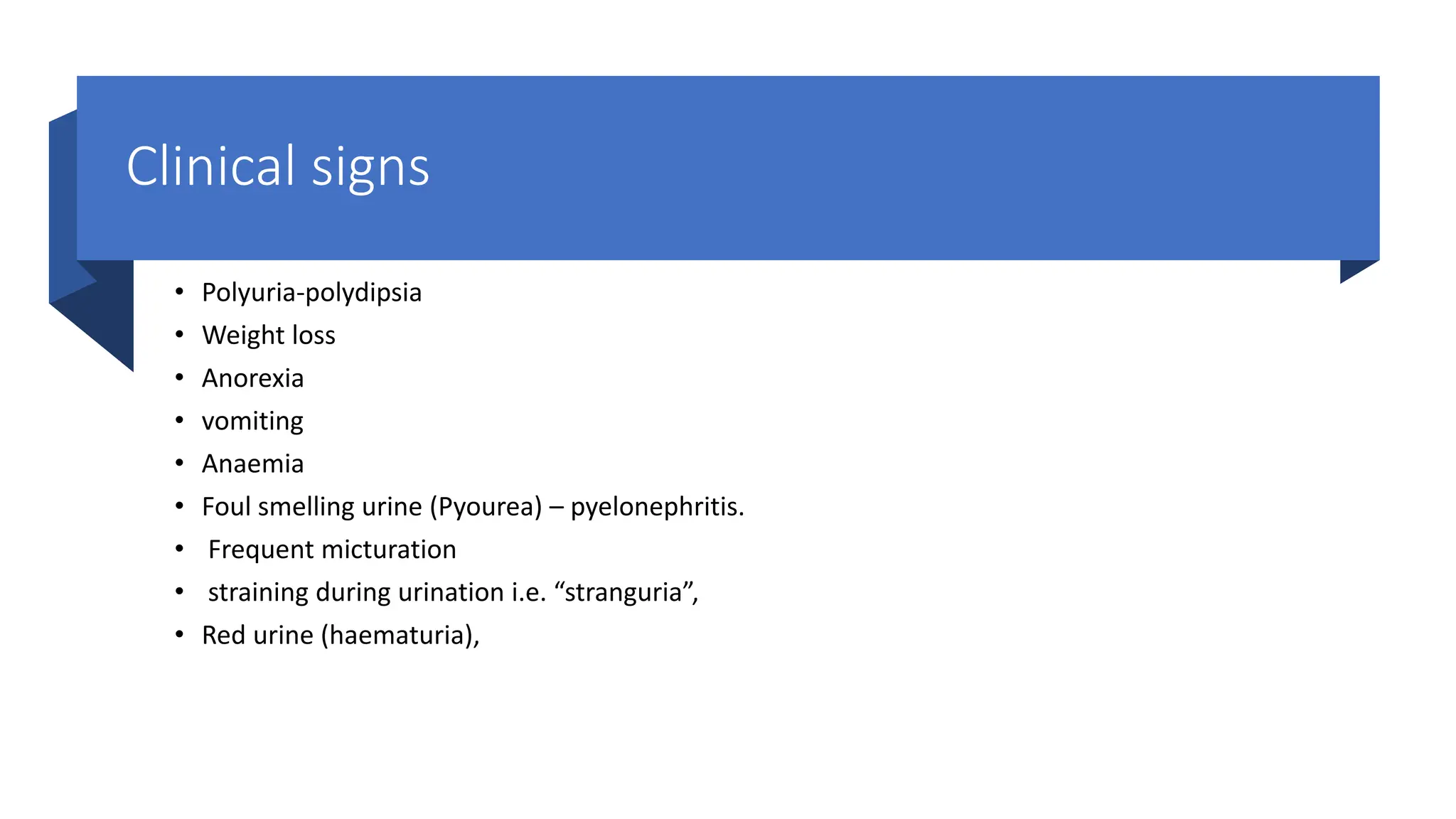 DISEASES RELATED TO URINARY SYSTEM IN RUMINANT ANIMAL | PPTX