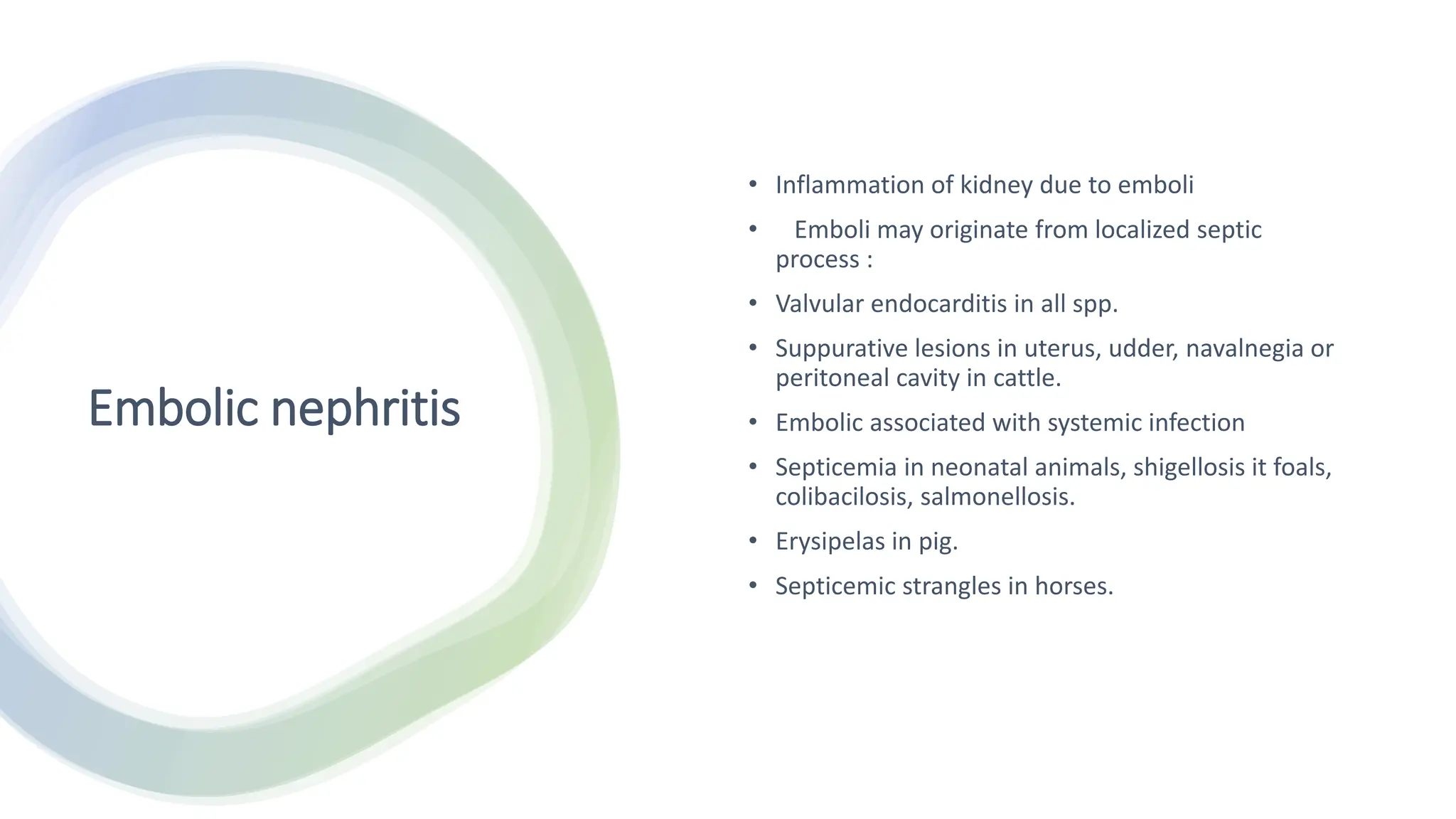 DISEASES RELATED TO URINARY SYSTEM IN RUMINANT ANIMAL | PPTX