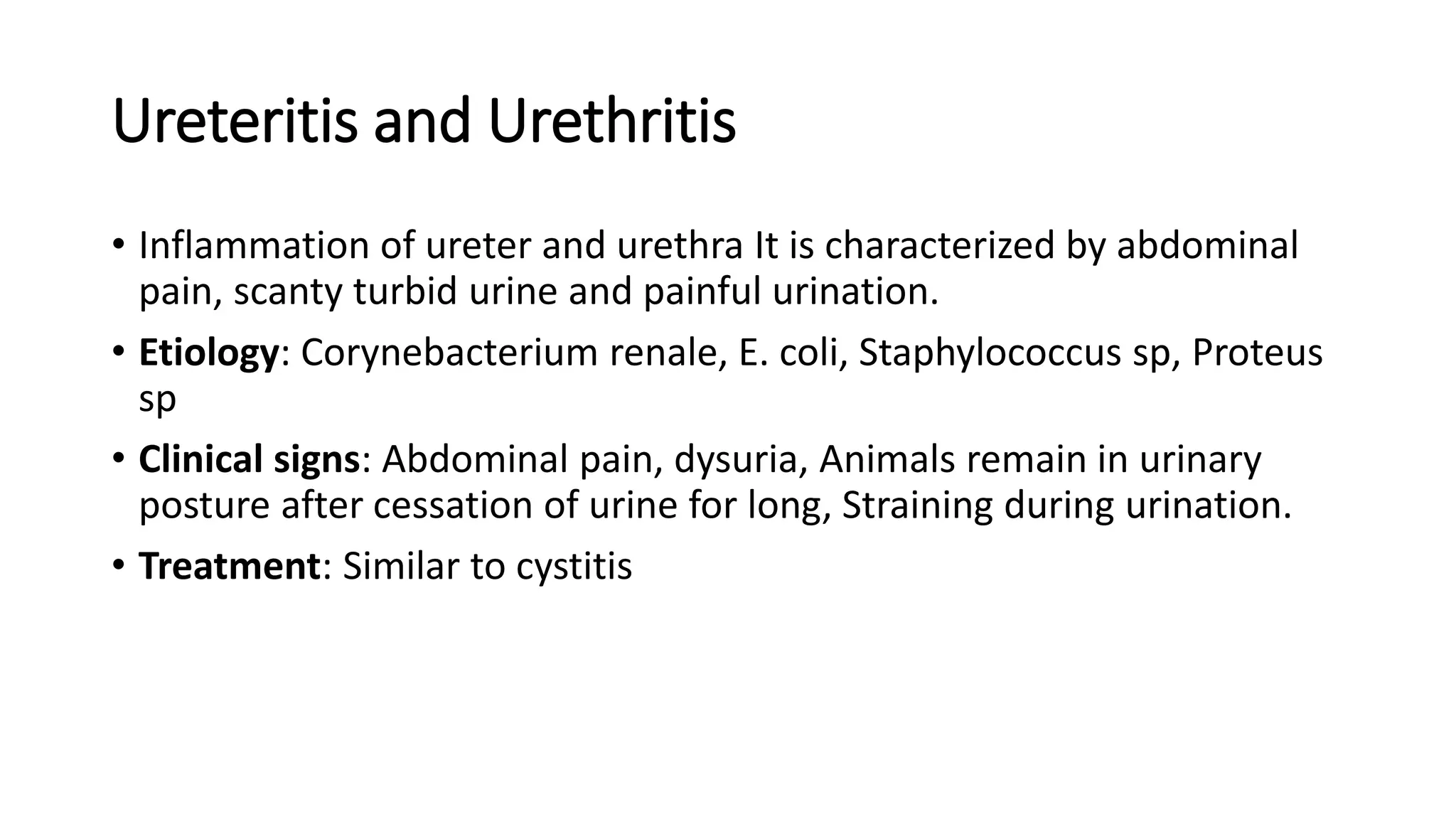 DISEASES RELATED TO URINARY SYSTEM IN RUMINANT ANIMAL | PPTX