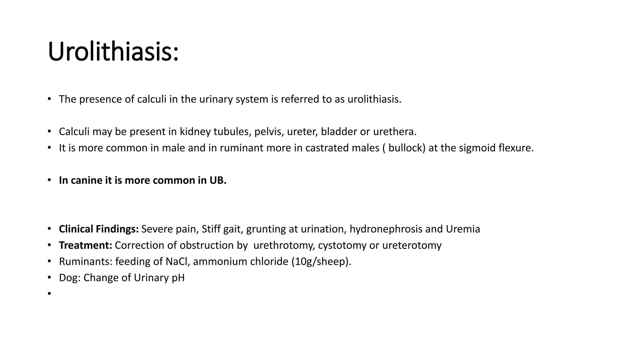 DISEASES RELATED TO URINARY SYSTEM IN RUMINANT ANIMAL | PPTX