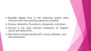 Diseases of urogenital tract | PPT