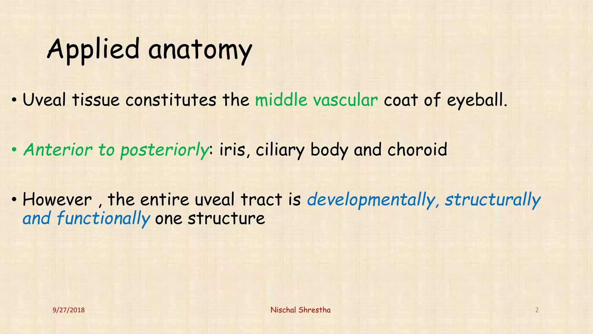 Anatomy of uveal tract- ophthalmology | PPTX