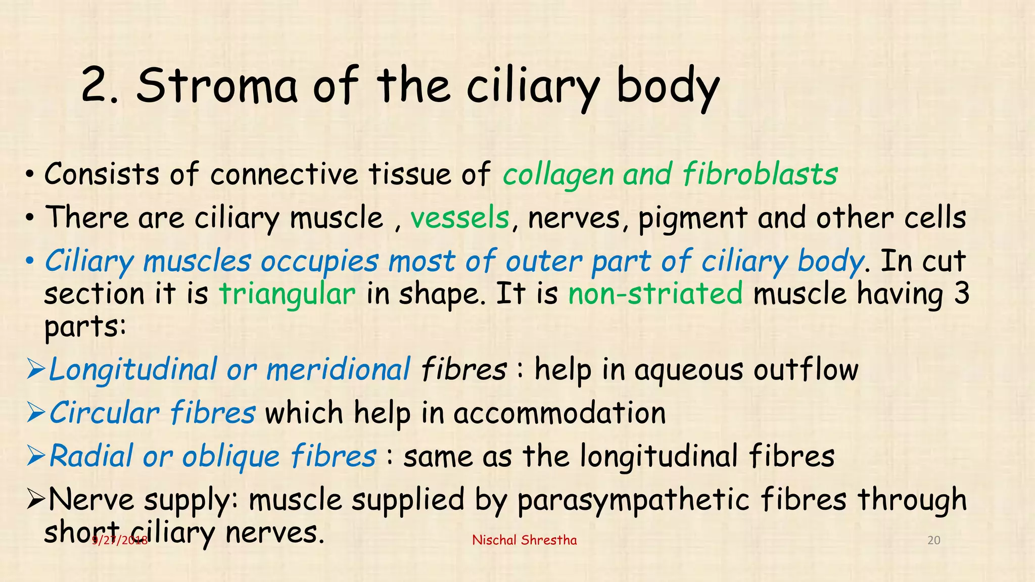 Anatomy of uveal tract- ophthalmology | PPTX