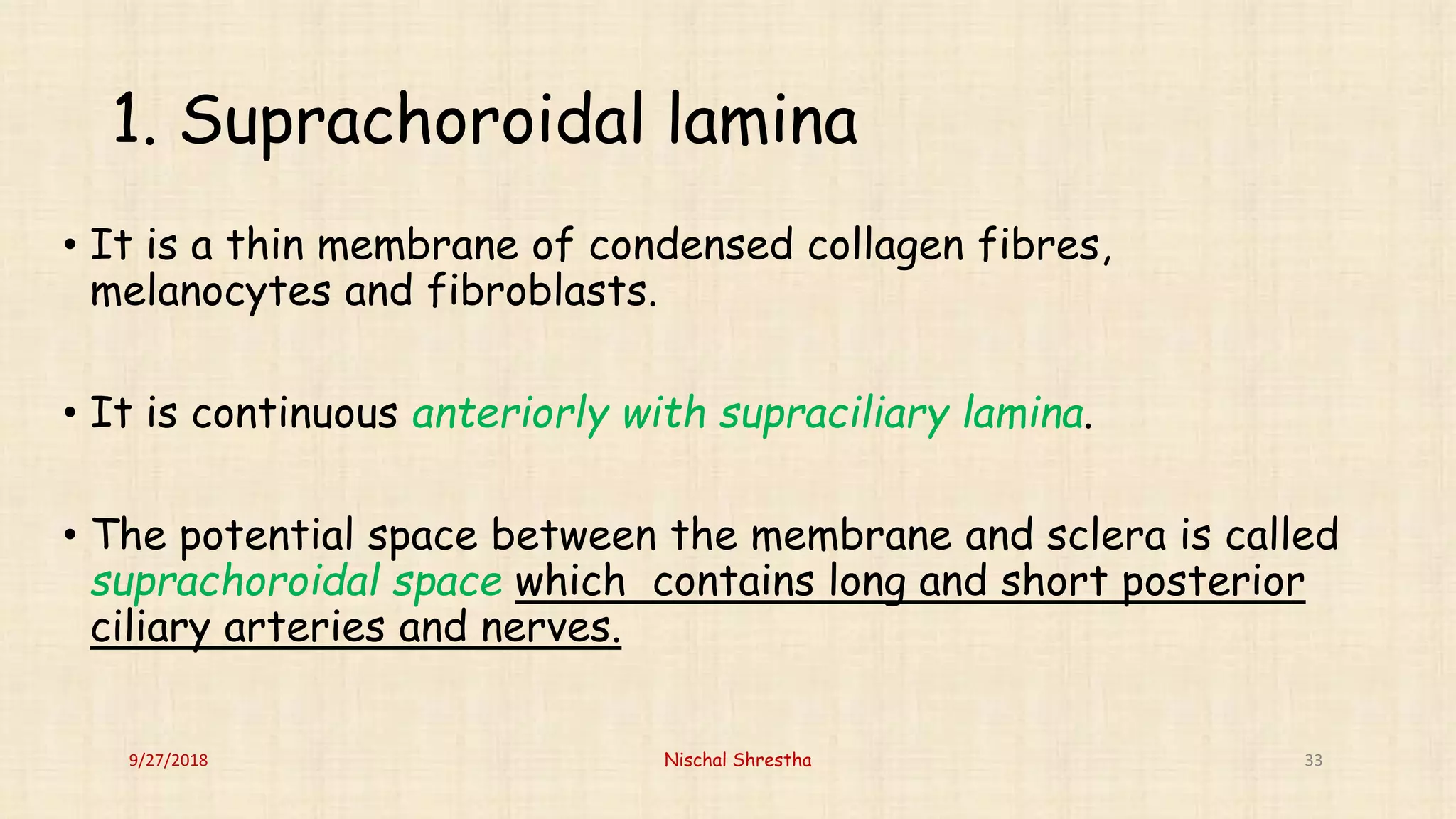 Anatomy of uveal tract- ophthalmology | PPTX