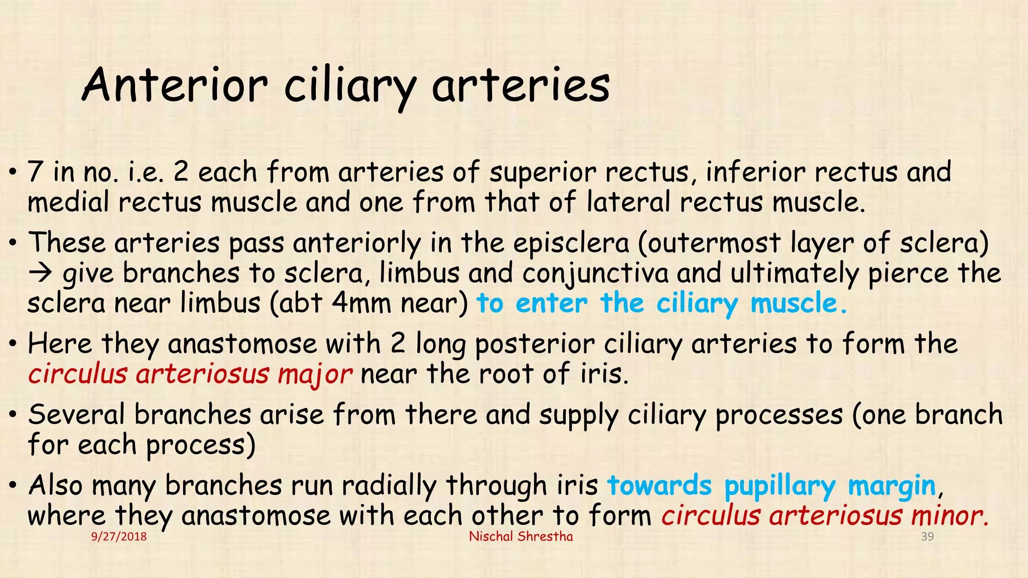 Anatomy of uveal tract- ophthalmology | PPTX