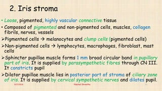 Anatomy of uveal tract- ophthalmology | PPTX