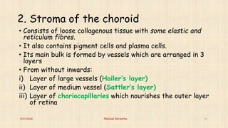 Anatomy of uveal tract- ophthalmology | PPTX