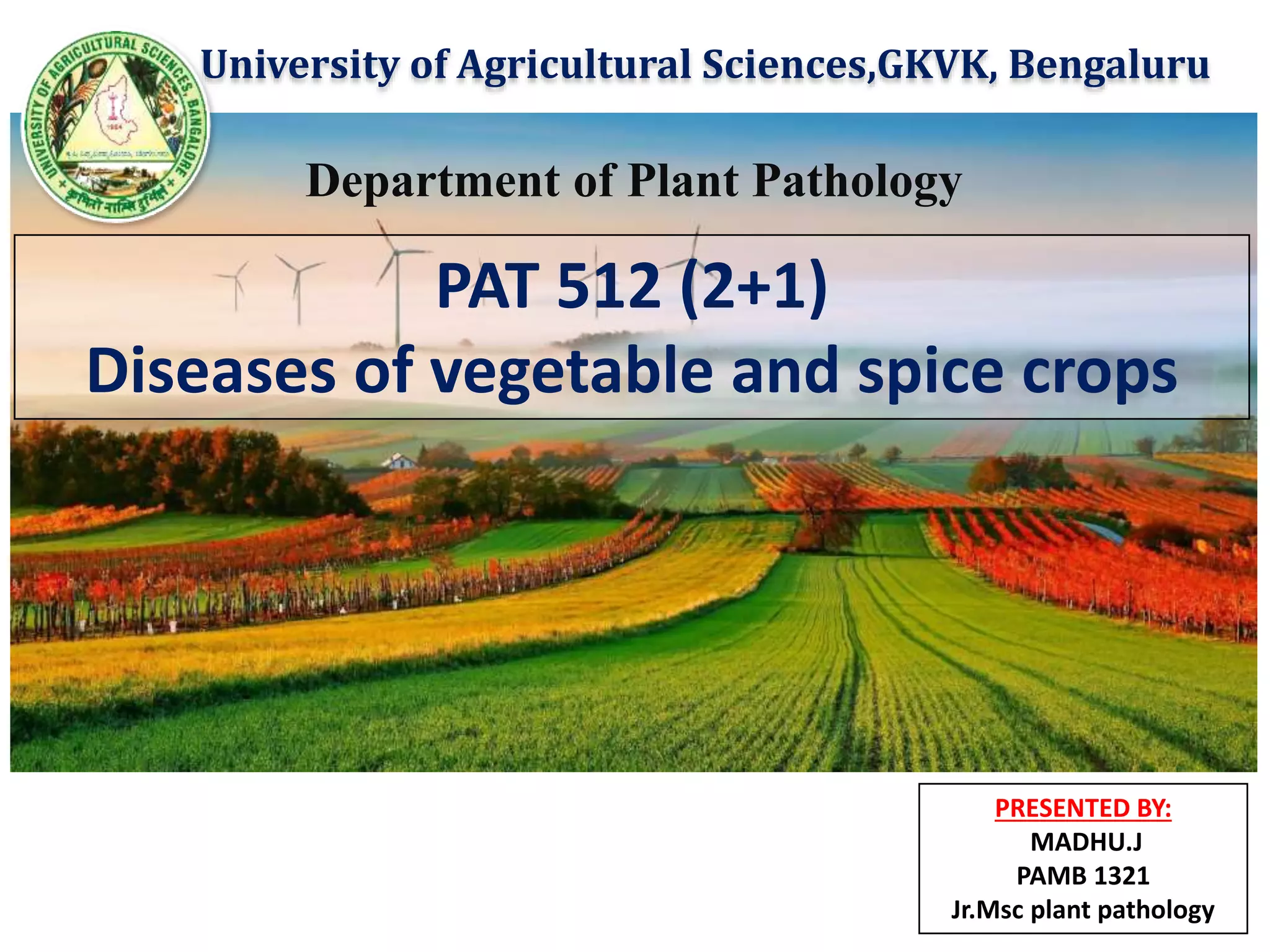 Diseases of vegetable and spice crops.pptx