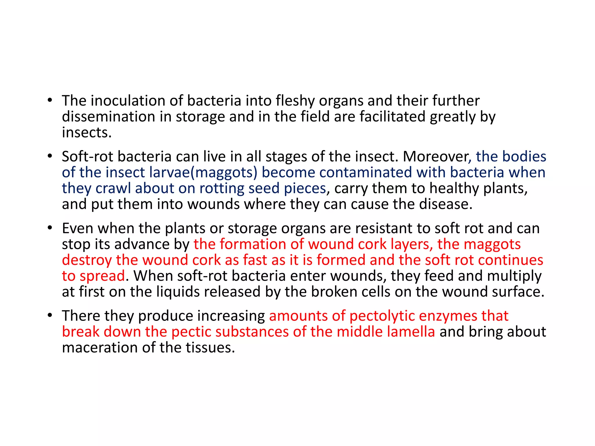 Diseases of vegetable and spice crops.pptx