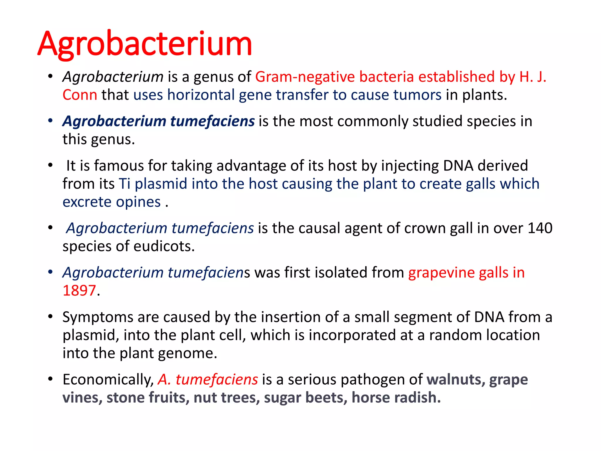 Diseases of vegetable and spice crops.pptx