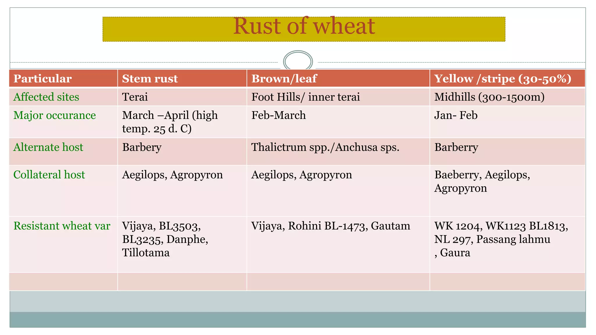 Diseases of wheat | PPTX | Skin and Dermatology | Diseases and Conditions