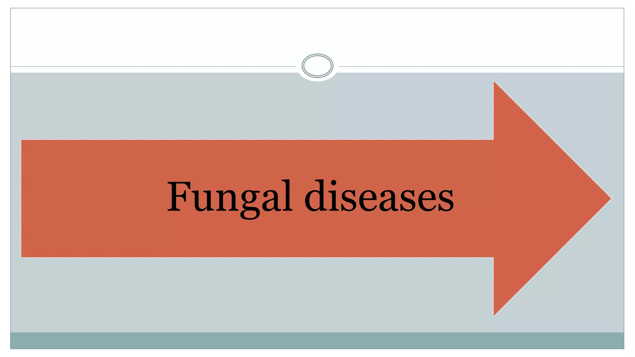 Diseases of wheat | PPTX