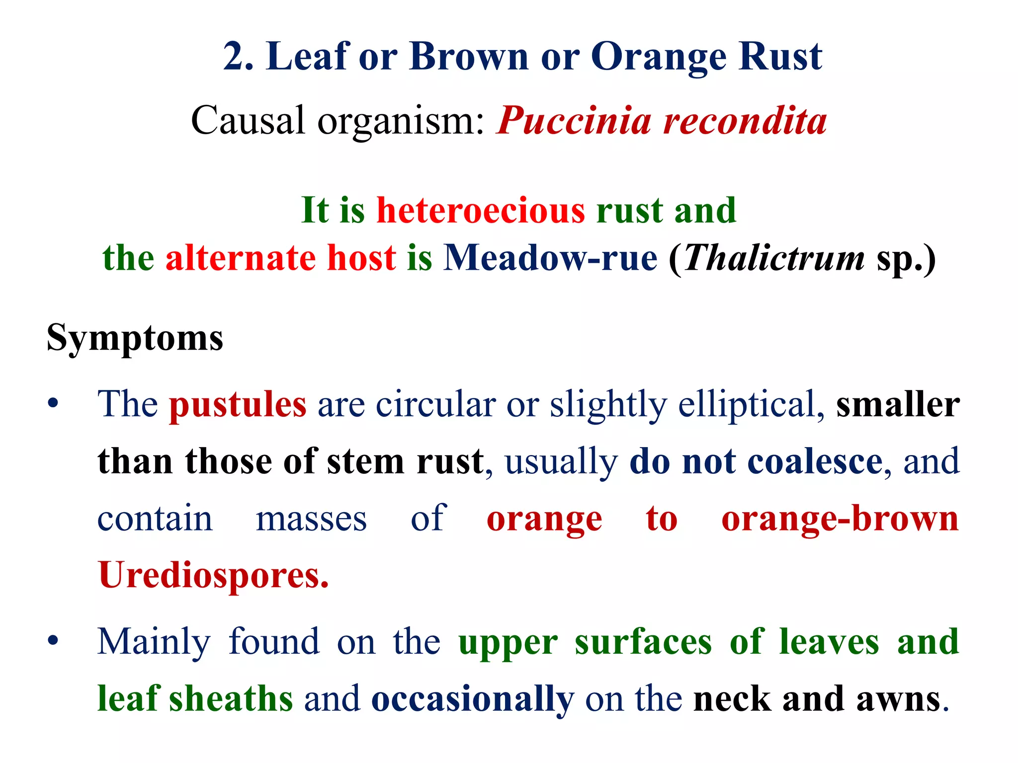 Diseases of wheat and their management | PPTX