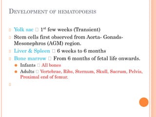 Diseases of White Blood Cells apthology slide | PDF