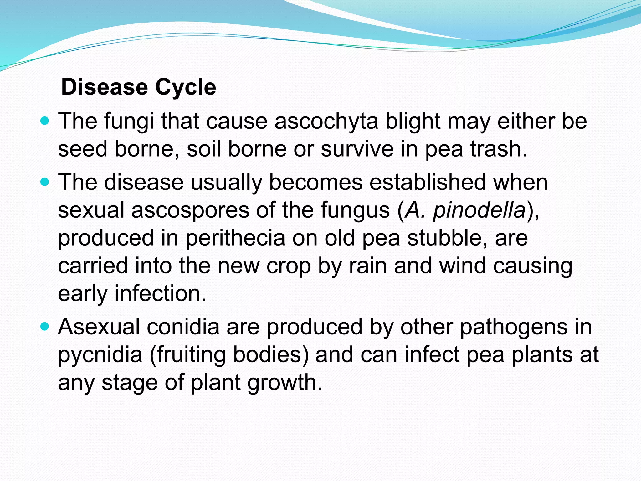 Diseases on pea | PPTX