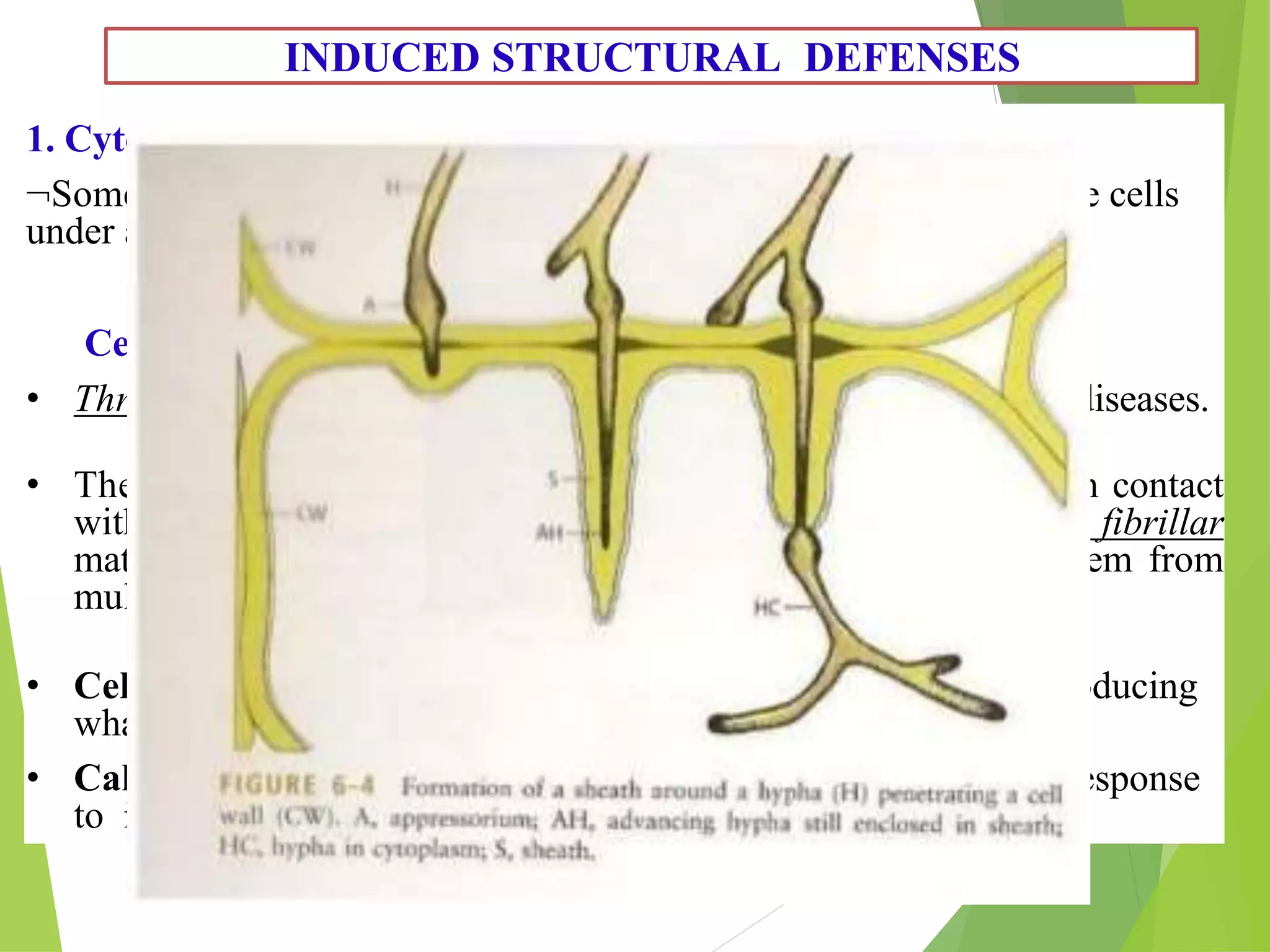 Diseases resistance and defence mechanisms | PPTX
