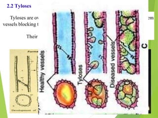 Diseases resistance and defence mechanisms | PPTX