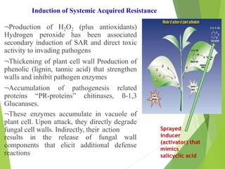 Diseases resistance and defence mechanisms | PPTX