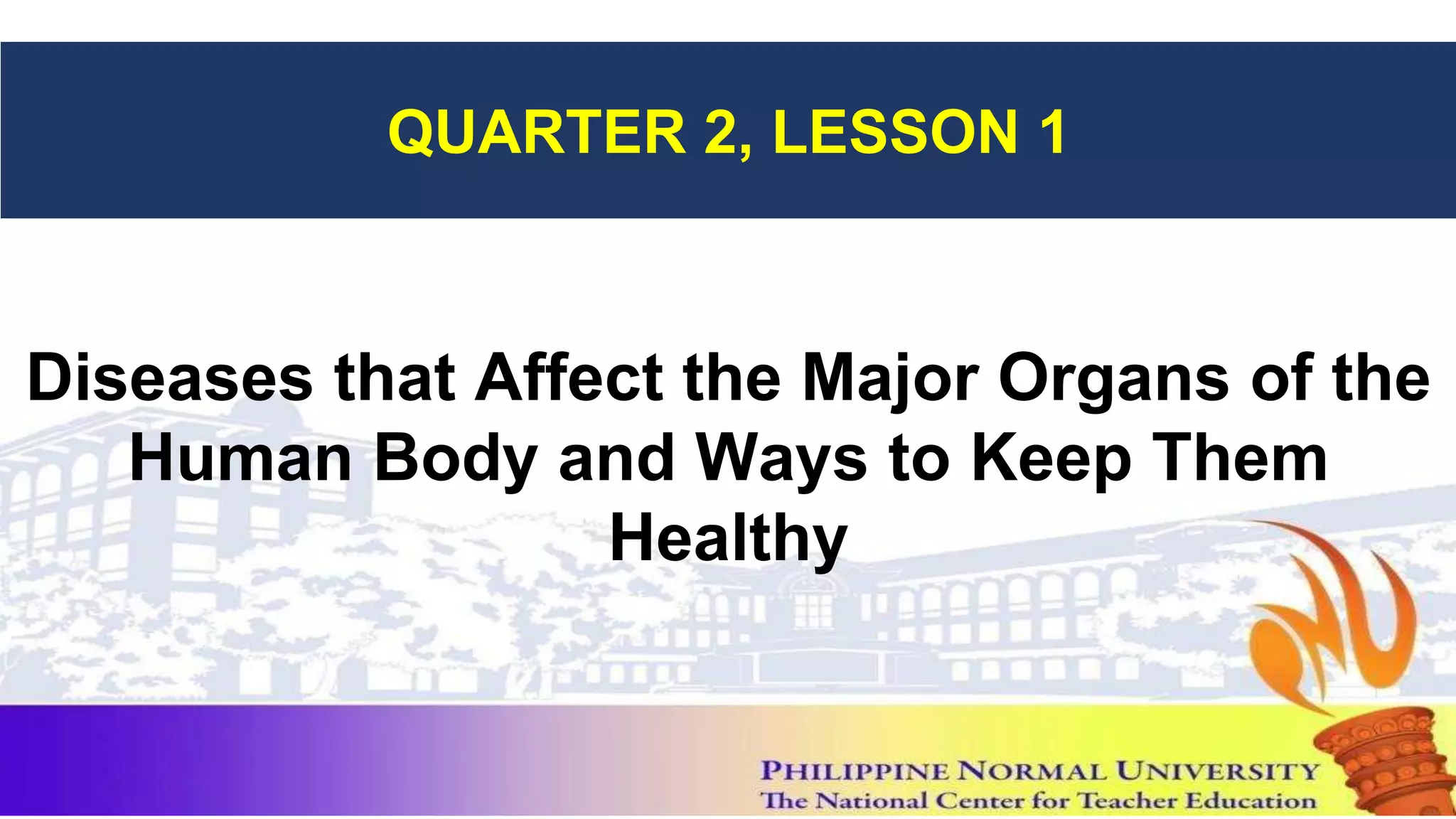 Diseases that Affect the Major Organs of the Human Body and Ways to ...