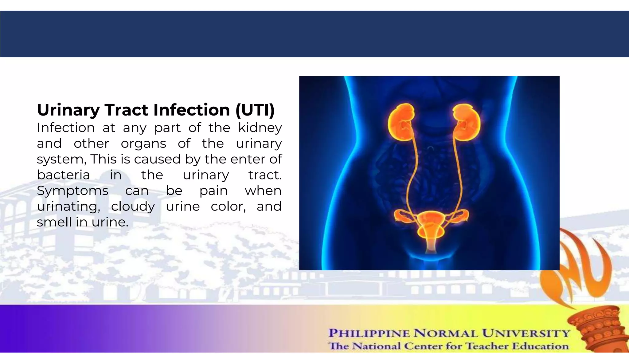 Diseases that Affect the Major Organs of the Human Body and Ways to ...