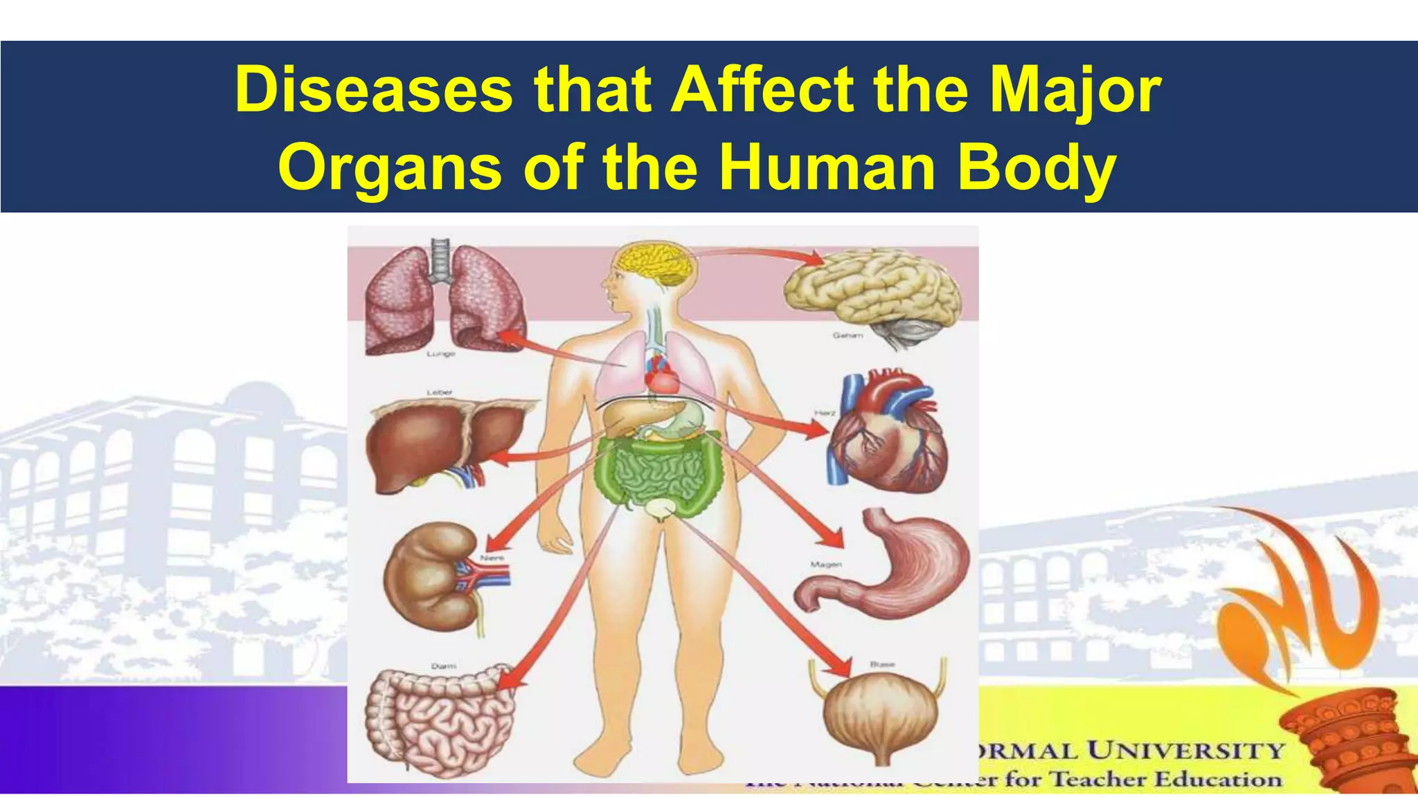 Diseases that Affect the Major Organs of the Human Body and Ways to ...