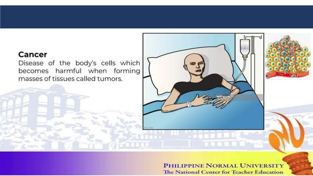 Diseases that Affect the Major Organs of the Human Body and Ways to ...