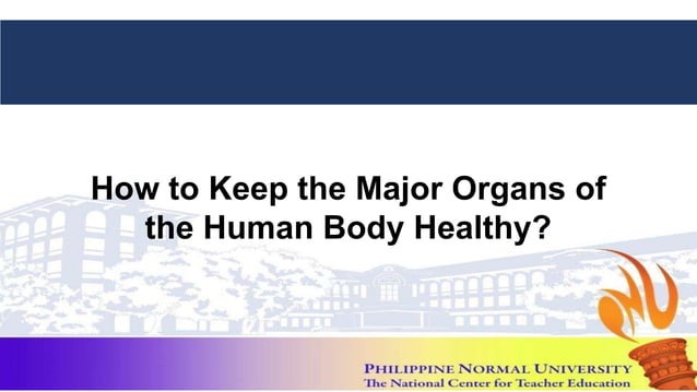 Diseases that Affect the Major Organs of the Human Body and Ways to ...