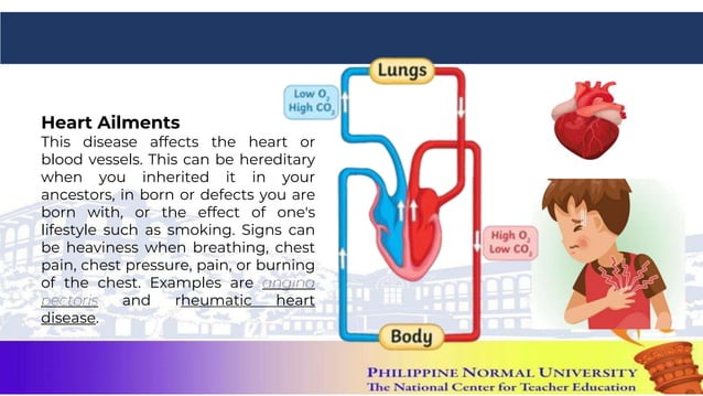 Diseases that Affect the Major Organs of the Human Body and Ways to ...
