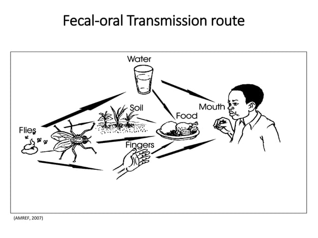 Diseases Transmitted Through Fecal Oral Route