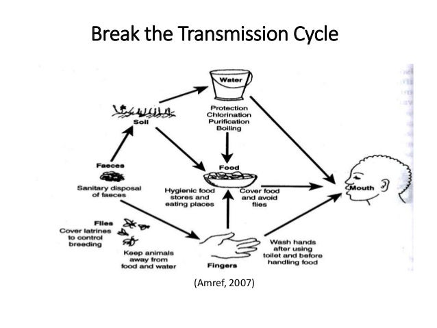 Diseases Transmitted Through Fecal Oral Route