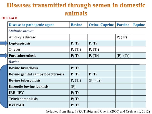 Diseases transmitted through semen in domestic animals | PPTX ...
