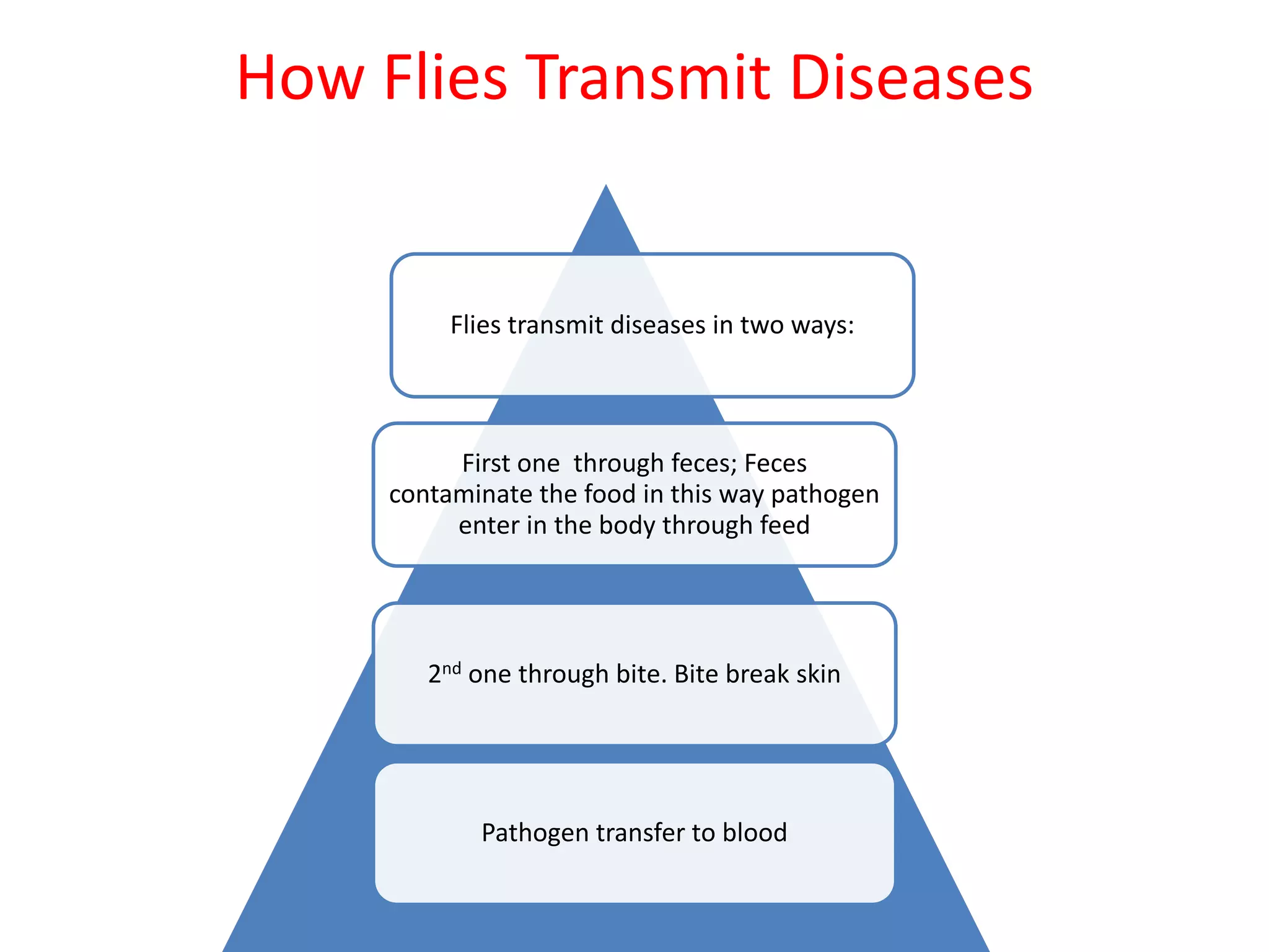Disease transmitted by flies | PPTX