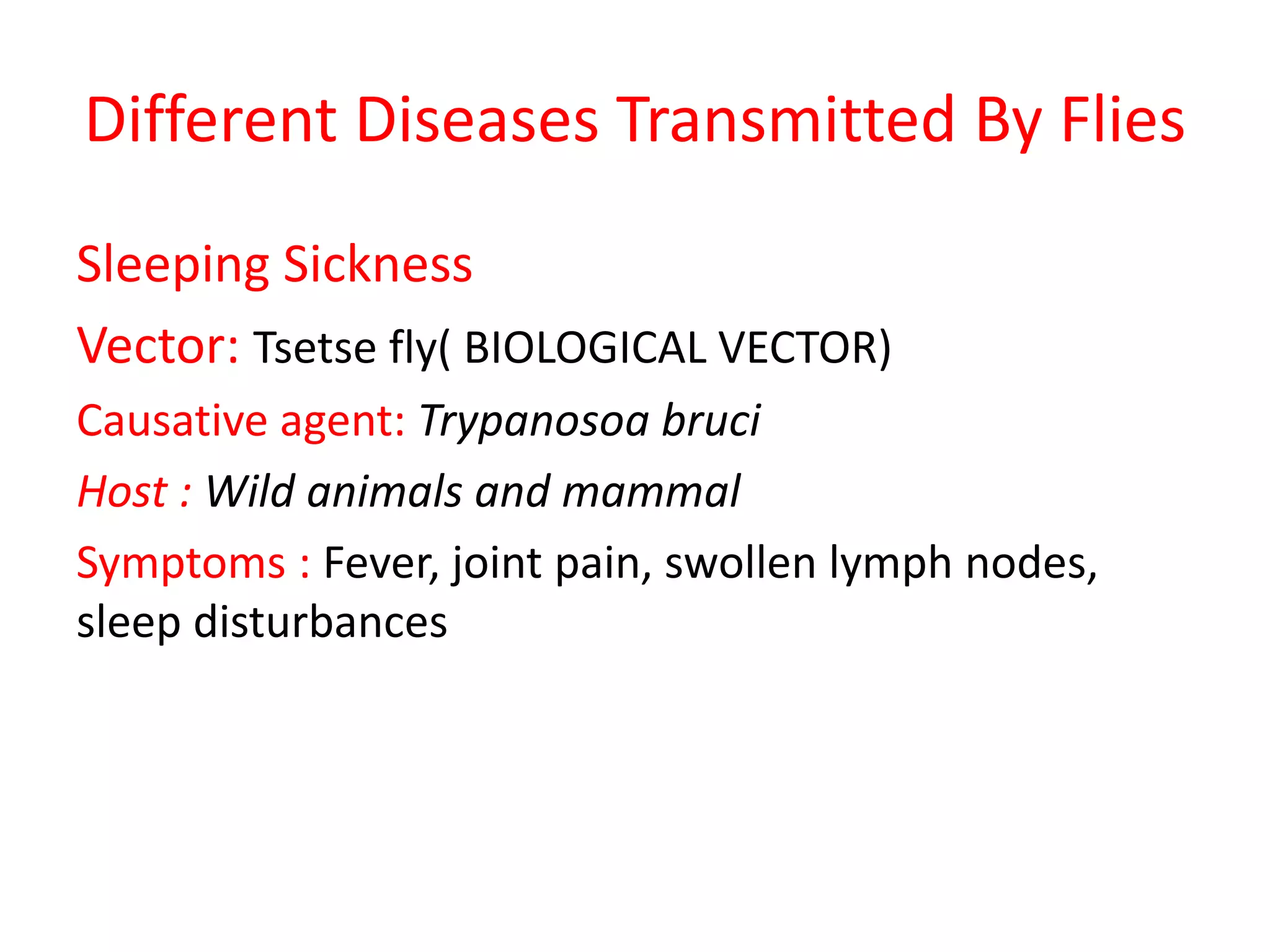 Disease transmitted by flies | PPTX