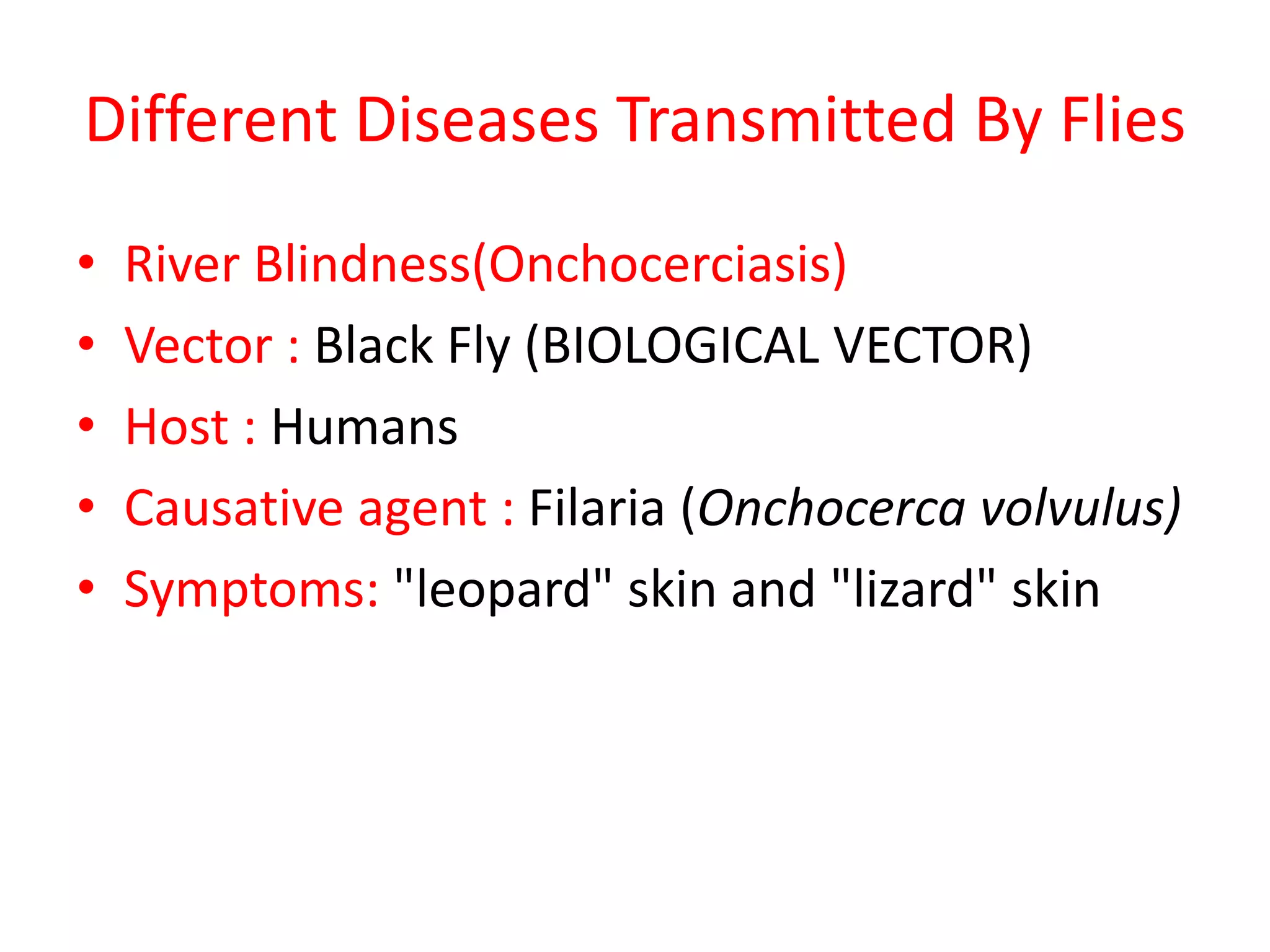 Disease transmitted by flies | PPTX