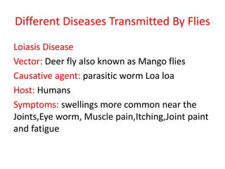 Disease transmitted by flies | PPTX