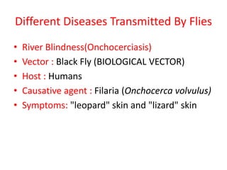 Disease transmitted by flies | PPTX