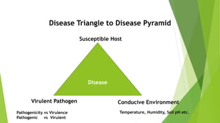 A journey from Disease Triangle to Disease Pyramid | PPTX