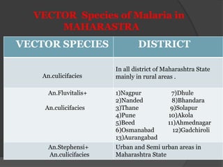 Disease vectors and vector bionomics ppt | PPTX