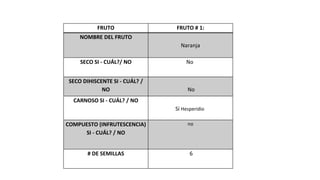Disección de flor y fruto.pptx