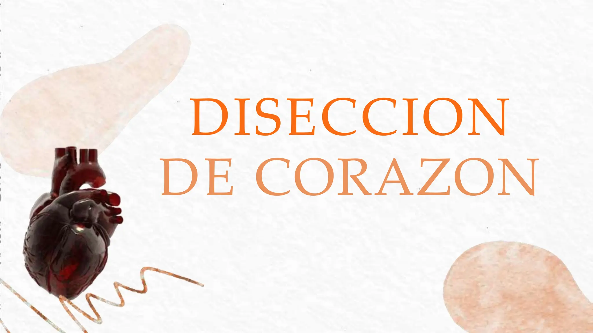 Disección del corazón. FUNCIONES Y CAVIDADES | PPTX