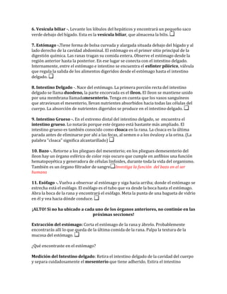 Disección de rana | DOCX