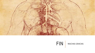 Disección de corazón bovino - Anatomía comparativa | PPTX