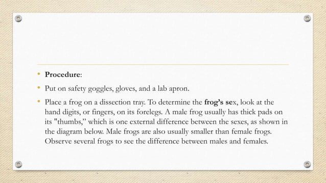 Disection of a Frog.pptx