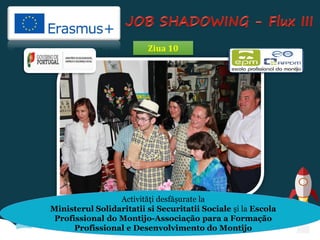 Diseminare job shadowing flux iii | PDF