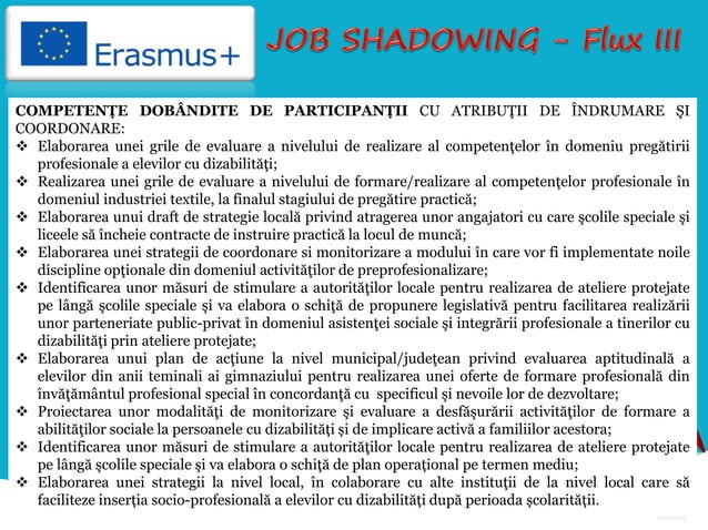 Diseminare job shadowing flux iii | PDF