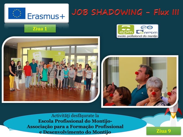 Diseminare job shadowing flux iii | PDF