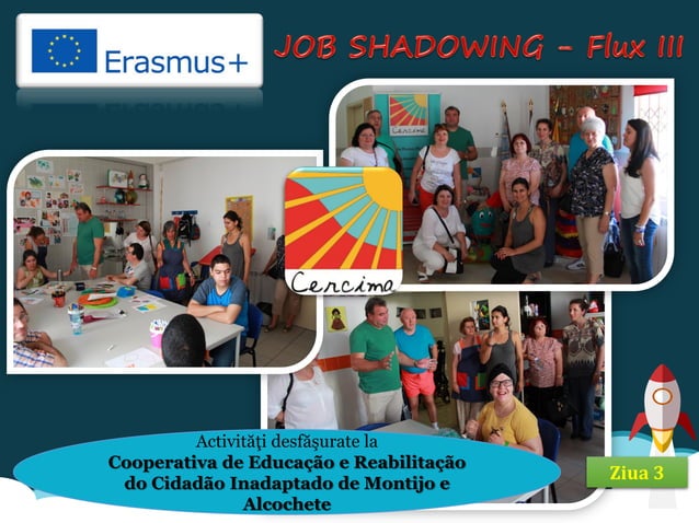 Diseminare job shadowing flux iii | PDF