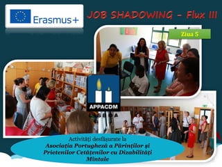 Diseminare job shadowing flux iii | PDF