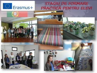 Diseminare stagiu de formare flux vi | PDF